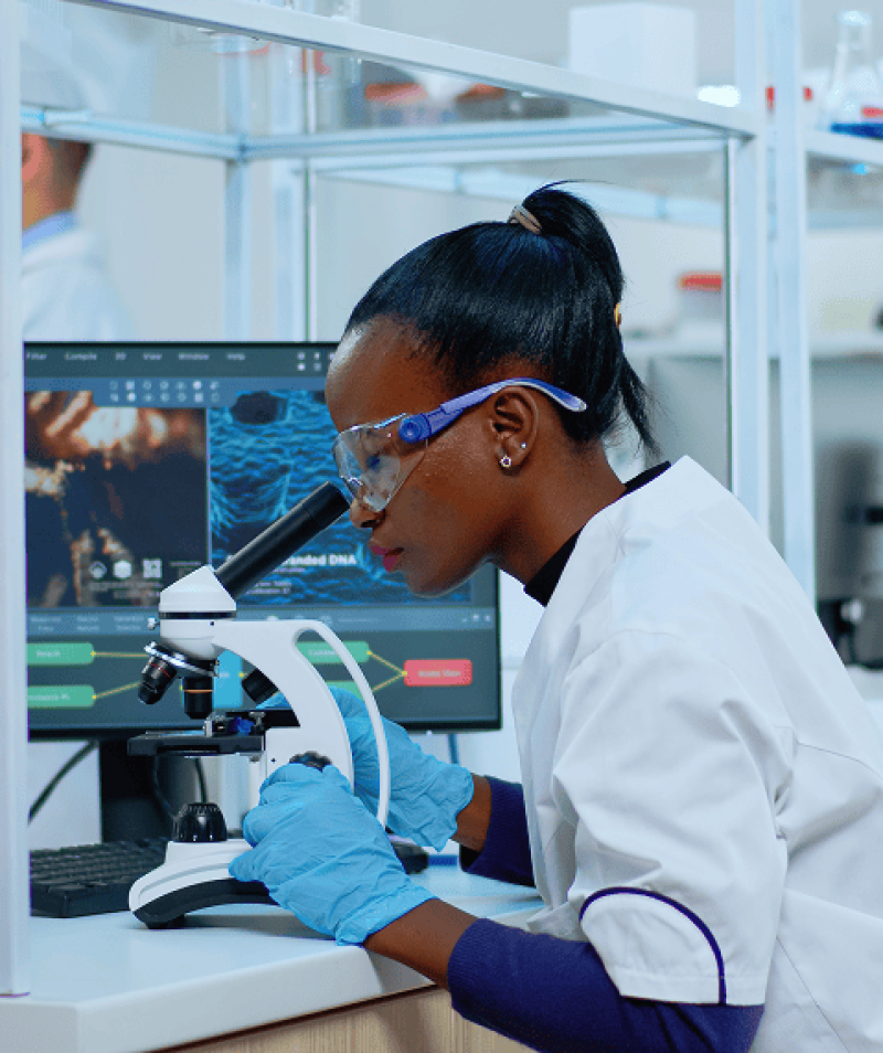 Elevate Your Vision: Custom Microsoft App Development by i3solutions